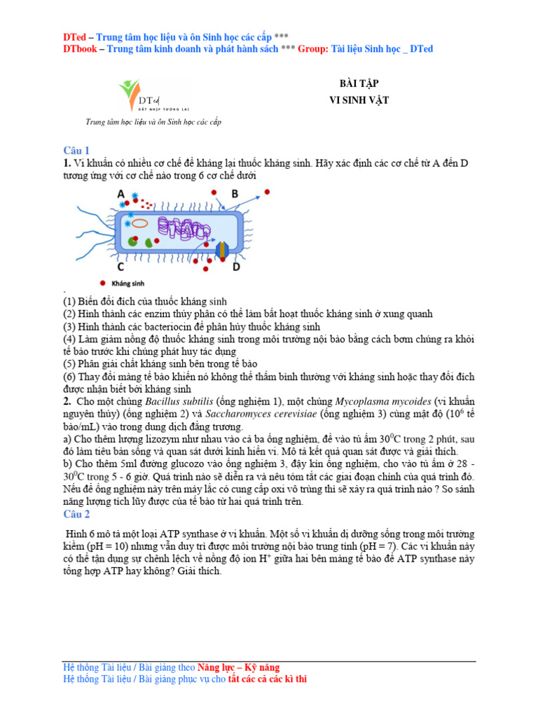 ĐỀ VSV RÈN LUYỆN VBO DC | PDF