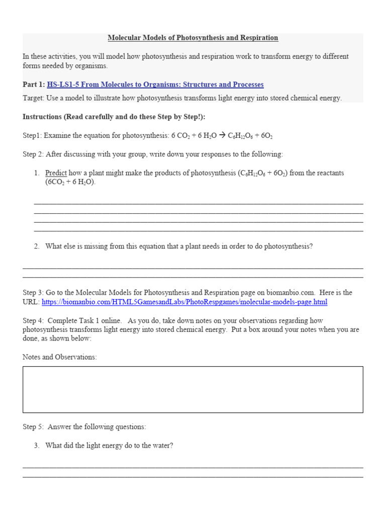 L8 Photosysnthesis Activity 2 Molecular Models | PDF | Photosynthesis ...