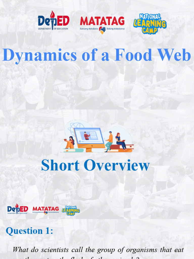 G8-Lesson 12-Dynamics of Food Web | PDF | Food Web | Ecology