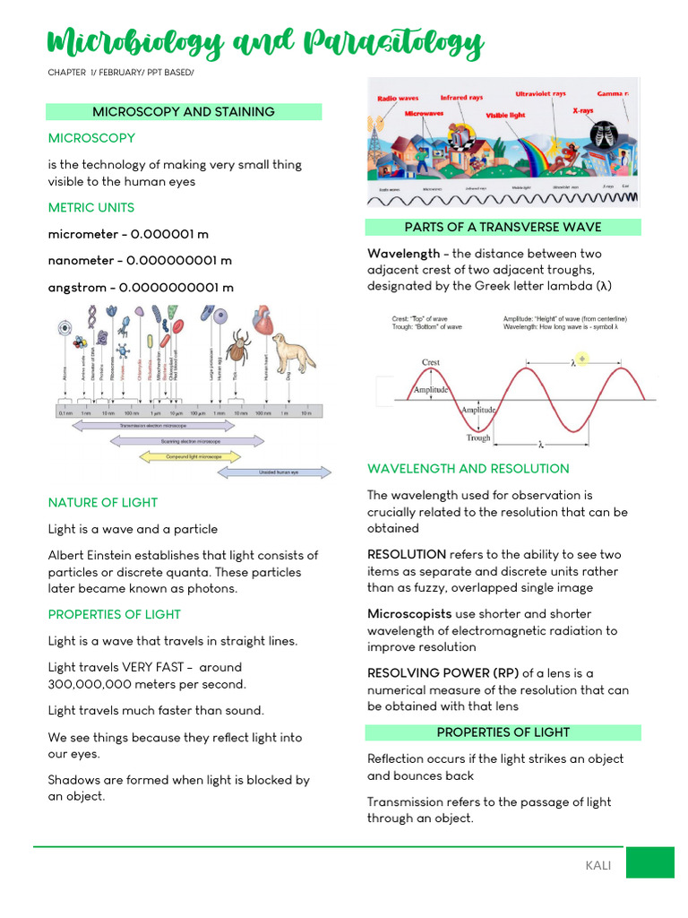 TRANSES-CHAP 3 -MICROBIO | PDF | Microscope | Scanning Electron Microscope