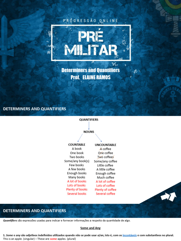Quantifiers and Determiners PO 2023 | PDF | Pronome | Plural