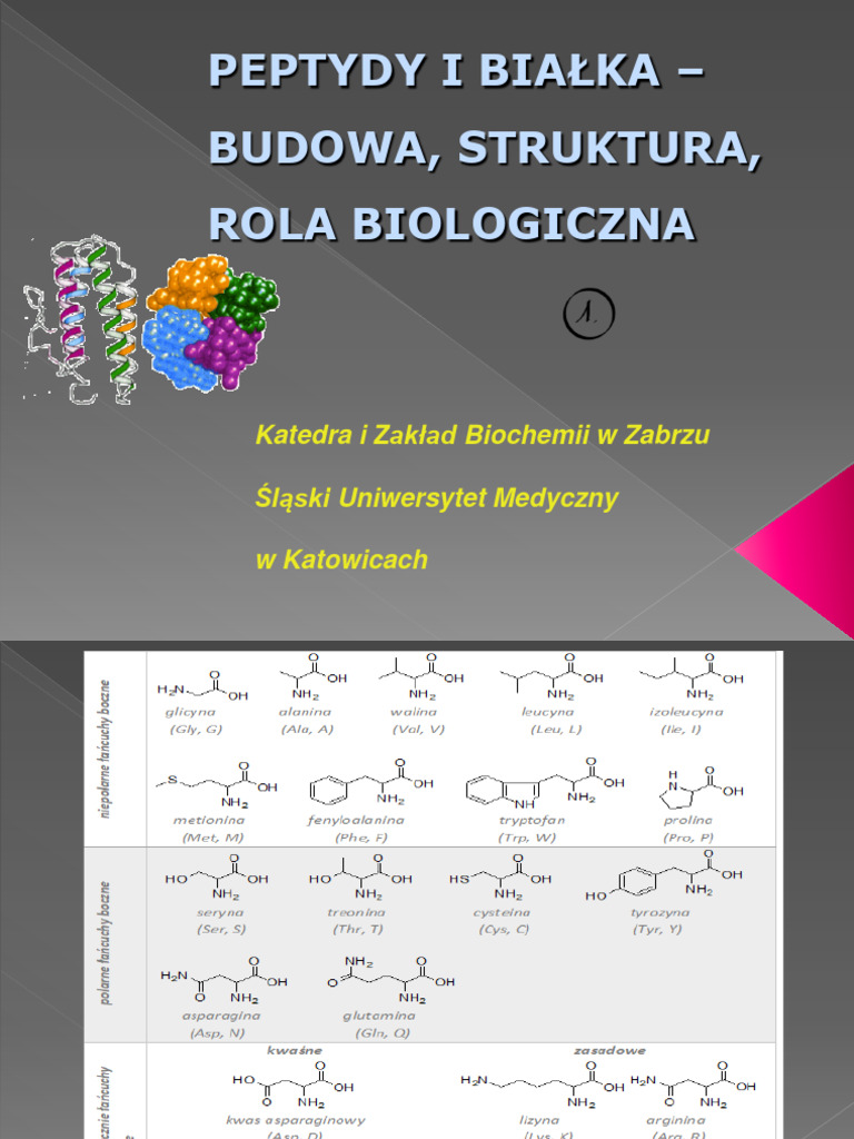 Aminokwasy, Peptydy I Białka - Budowa I Rola (1) - 240323 - 154237 | PDF