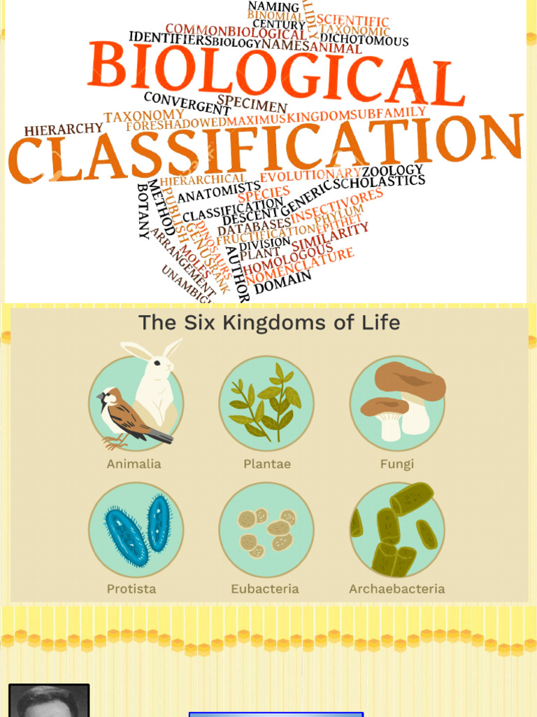 Biological Classification L2 | PDF | Virus | Plants