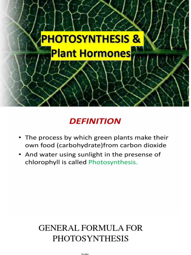 Photosynthesis and Plant Hormones Guide | PDF | Plant Hormone | Auxin