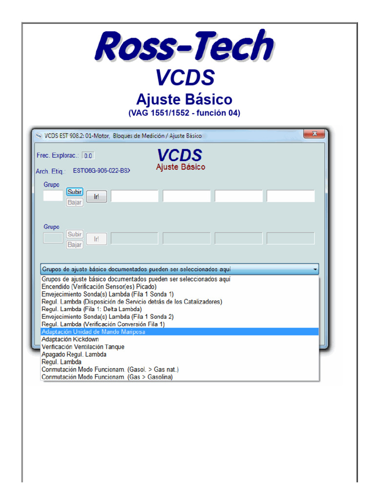 VCDS - Ajuste Básico | PDF
