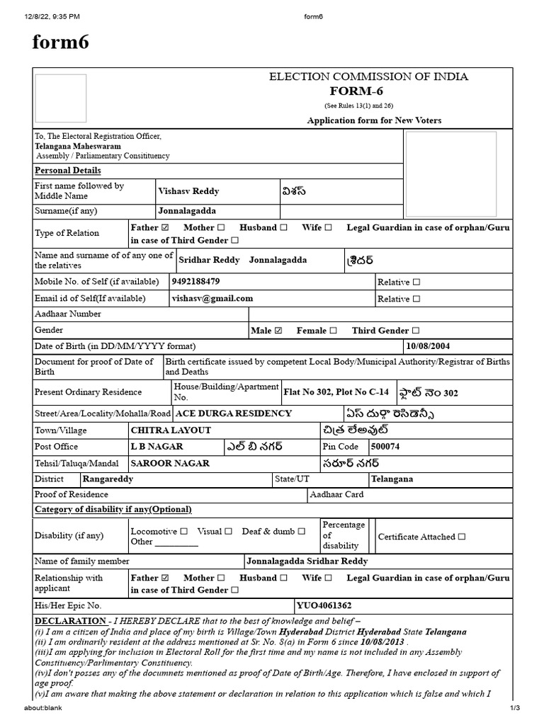 Form 6 | Download Free PDF | Government | Elections