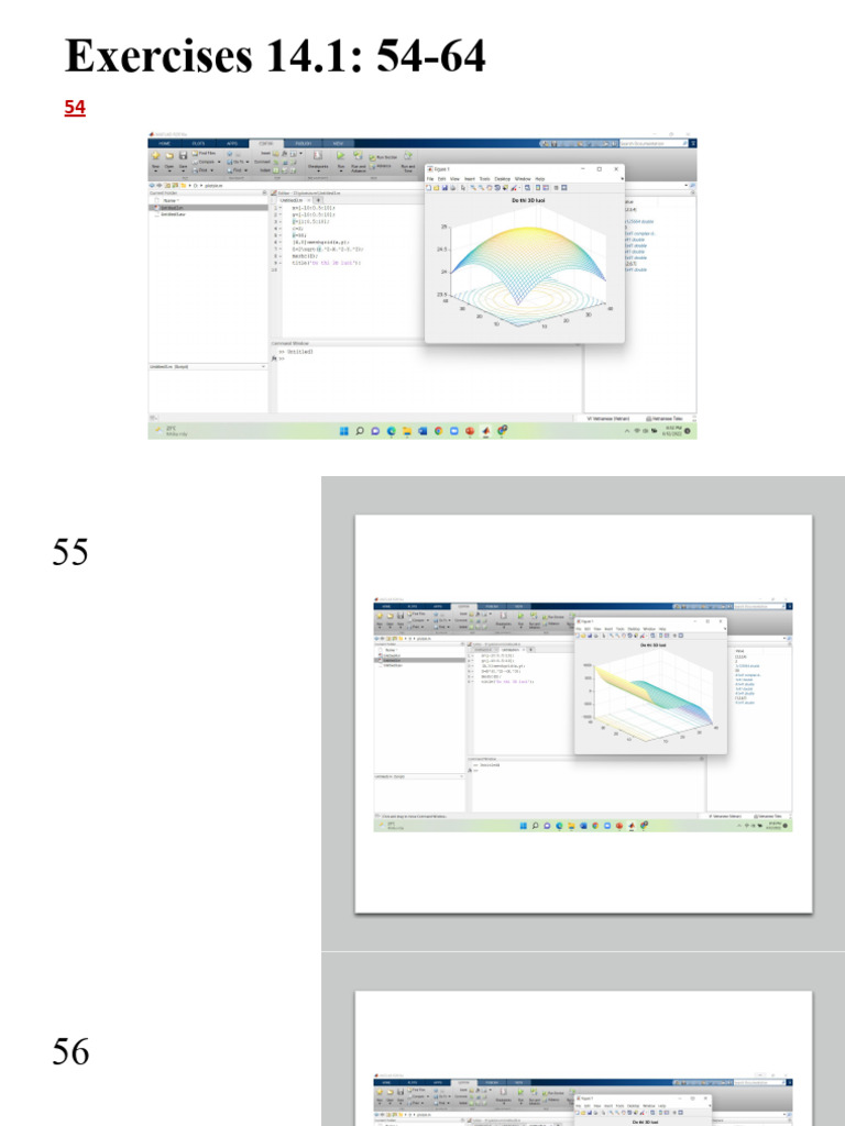 Exercises Calculus | PDF
