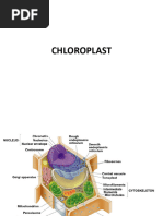 ProTox-3.0 - Prediction of TOXicity of Chemicals | PDF | Receptor ...