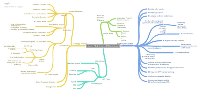 Strategy Business Development | Download Free PDF | Customer ...