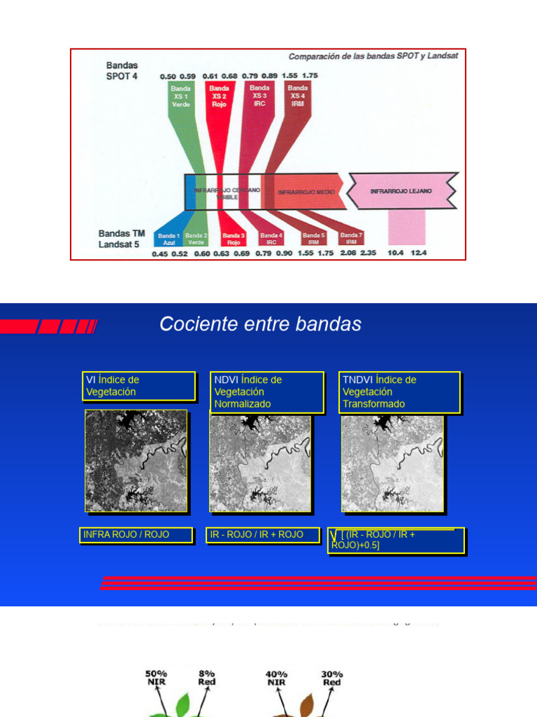 13 Present Ndices Con Imag Sateli | PDF