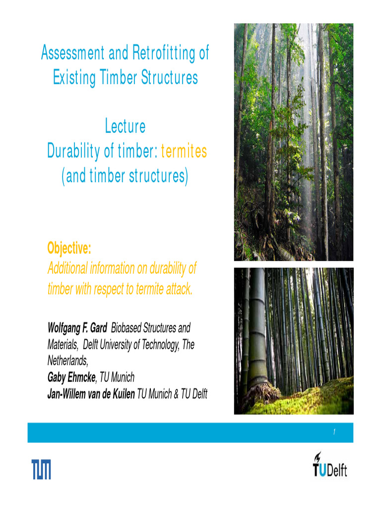ARETS 4 Termites+Protection | PDF | Lumber | Wood