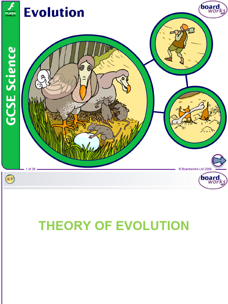Theories of Evolution | PDF | Natural Selection | Evolution