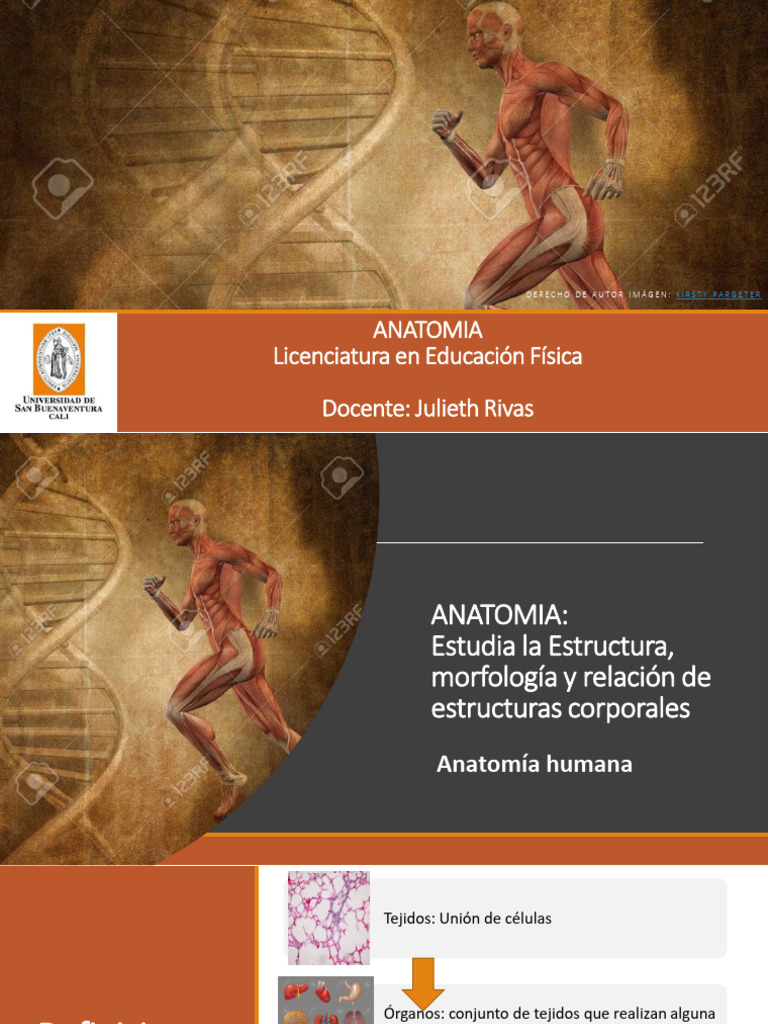 Generalidades Anatomia | PDF | Términos anatómicos de ubicación | Anatomía humana