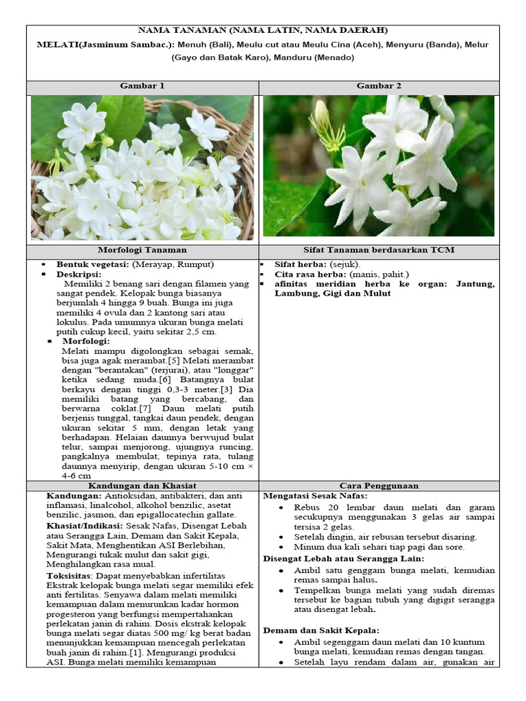 (Melati) Format 100 Obat Berkhasiat | PDF