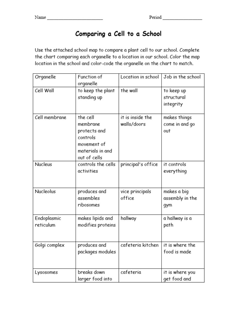 Comparing A Cell To A School | PDF | Cell (Biology) | Organelle