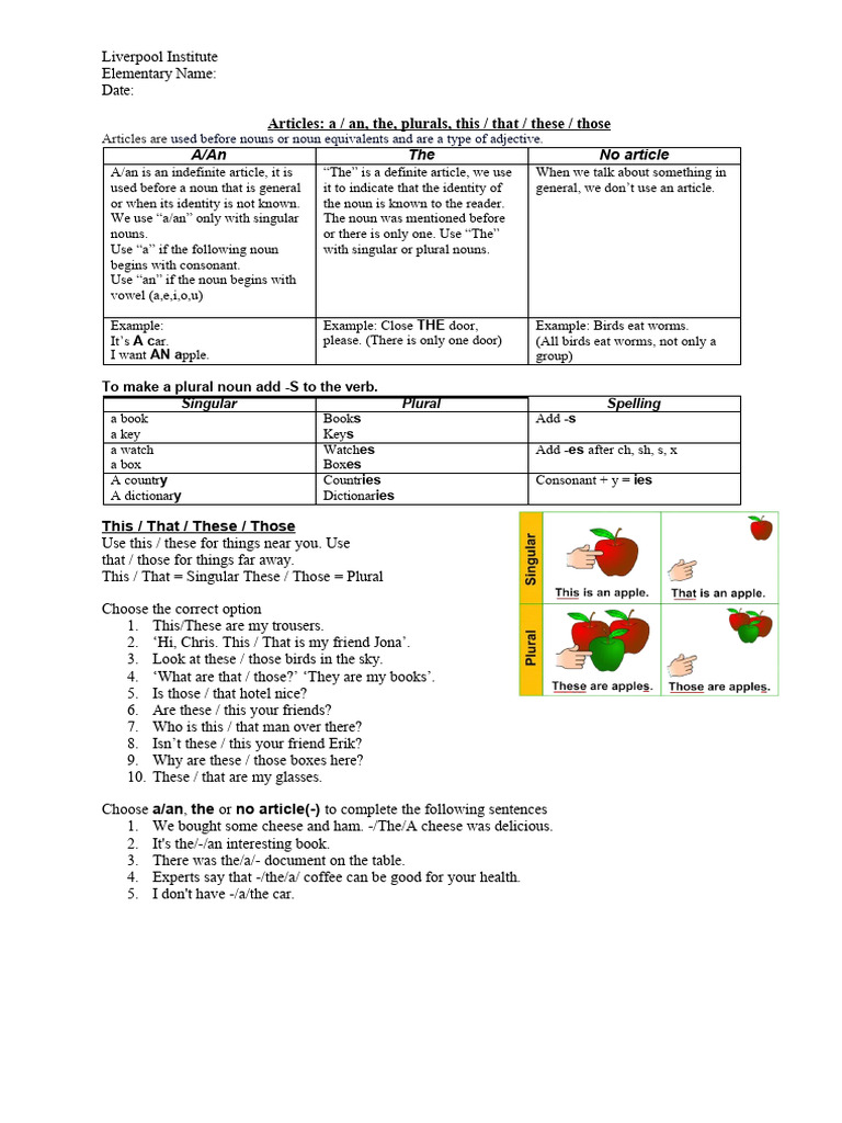 Elementary 1D 16-04 | PDF | Noun | Grammatical Number