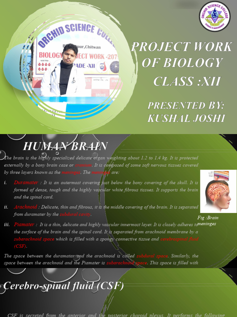 Project Work (Kushal Joshi) | PDF | Cerebrum | Cerebrospinal Fluid