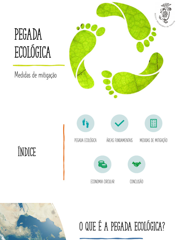 Trabalho de Geografia - Pegada Ecológica - 11ºCE | PDF | Agricultura | Economia