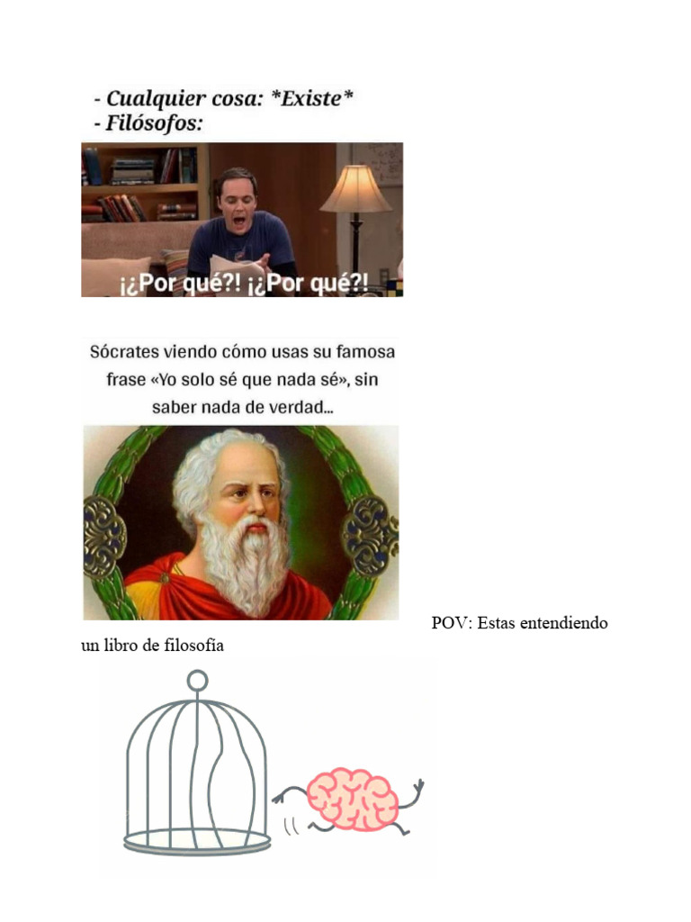 Memes Filosóficos | PDF
