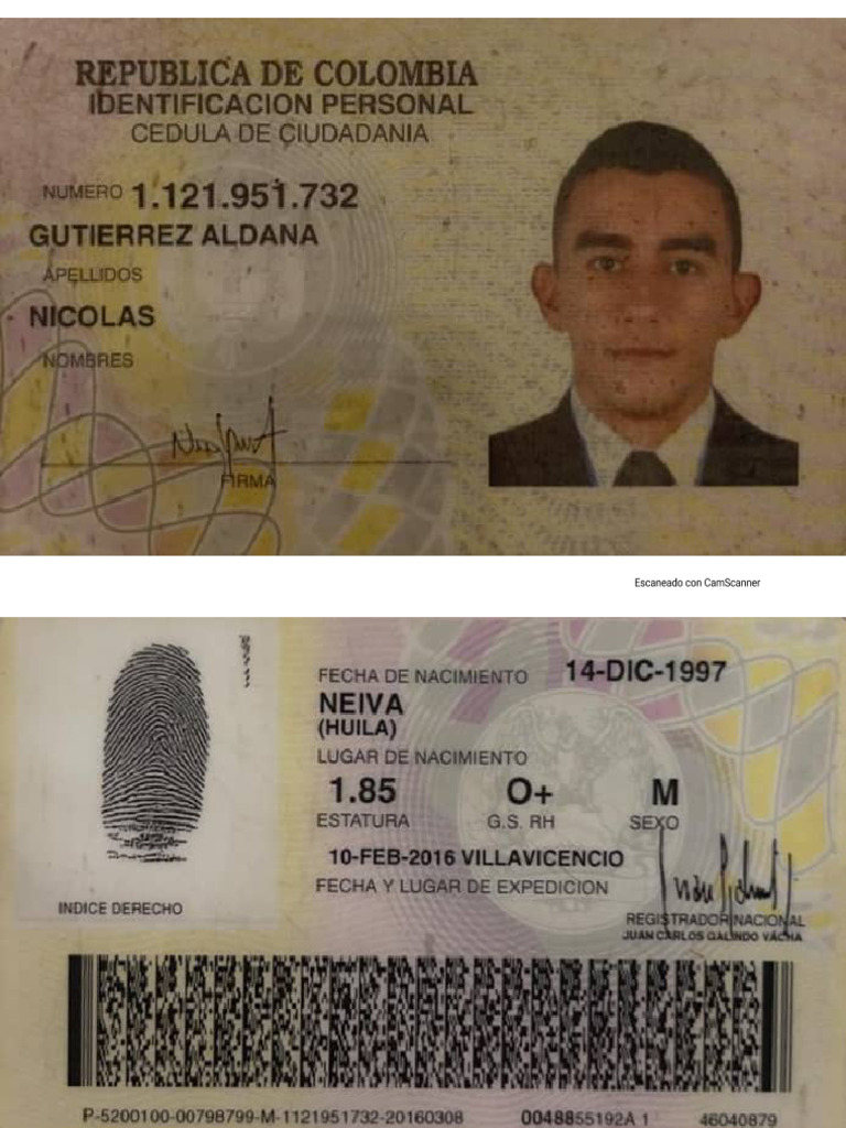 Nicolas Gutierrez | PDF
