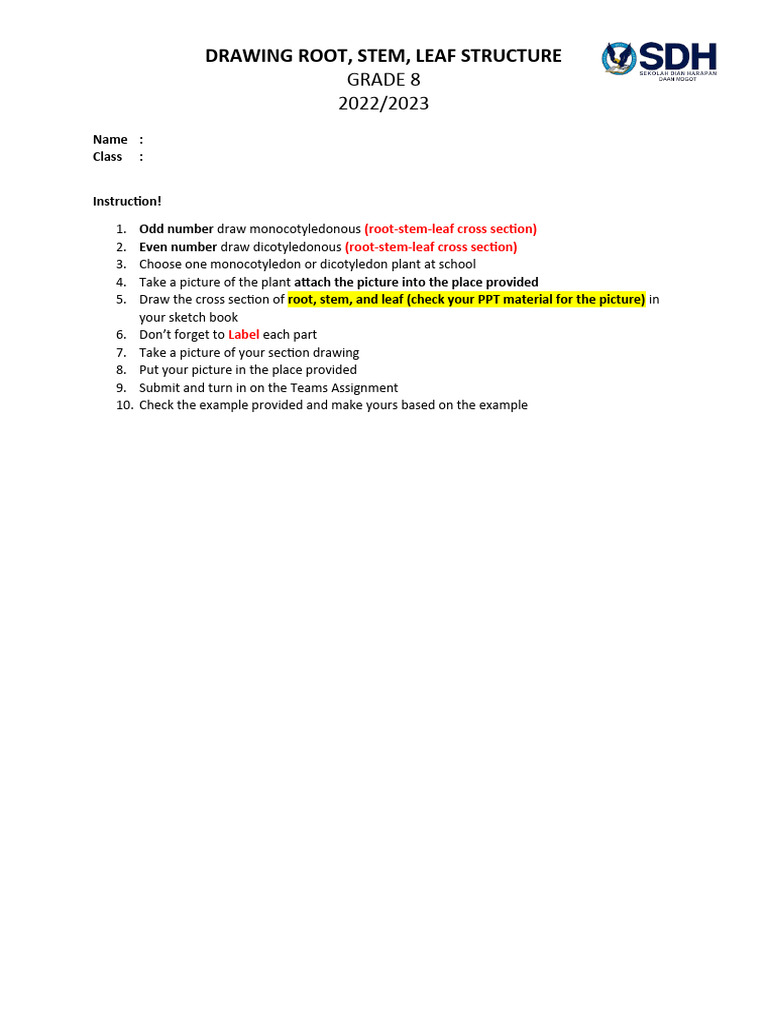 Grade 8 Plant Structure Drawing | PDF