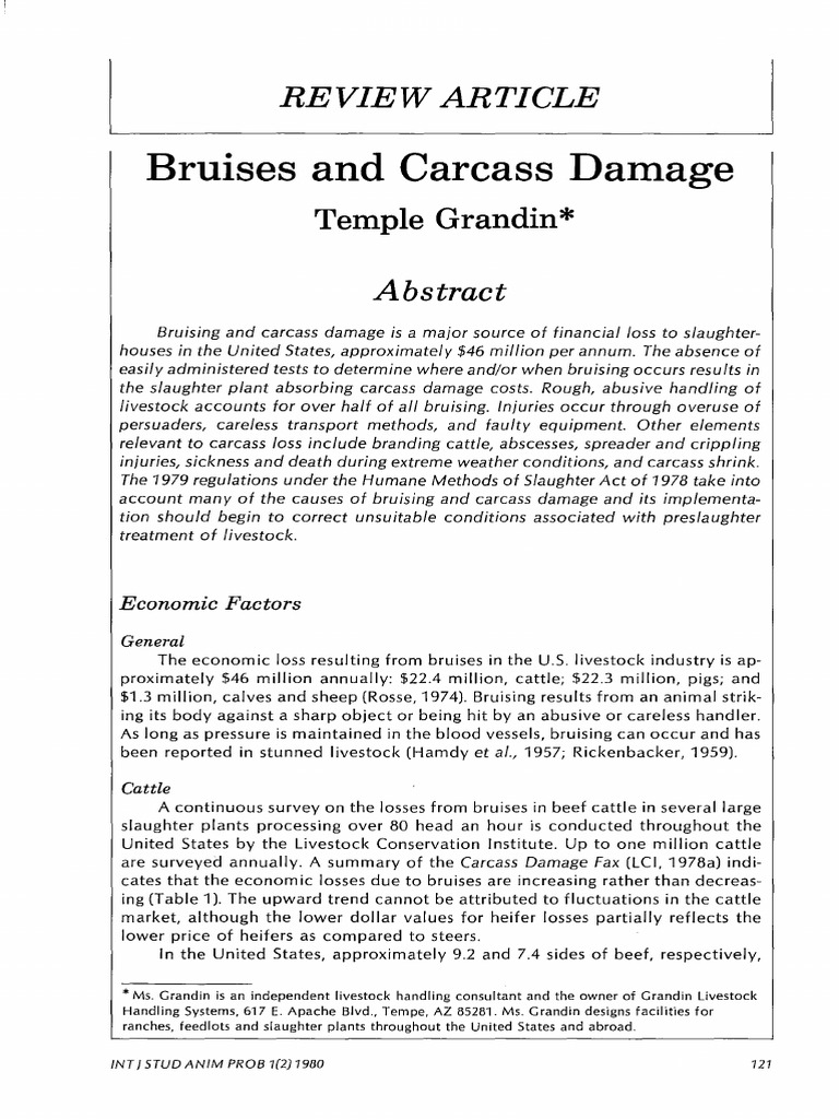 Economic Impact of Livestock Bruising | PDF | Animal Slaughter | Cattle