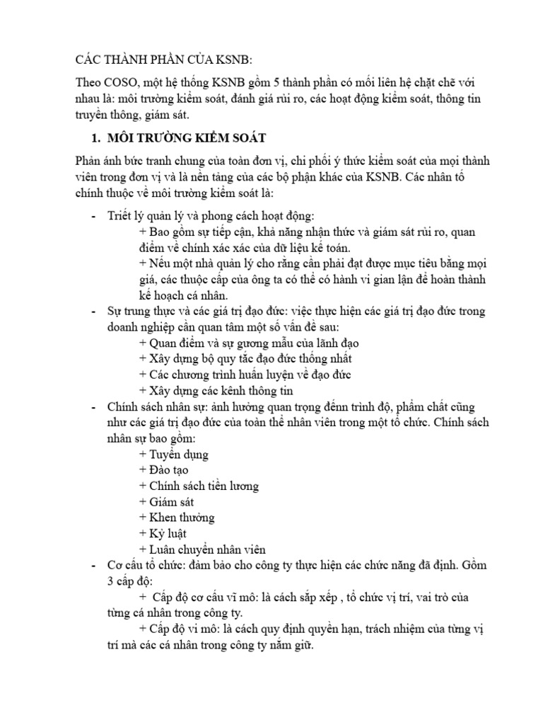 CÁC THÀNH PHẦN CỦA KSNB | PDF