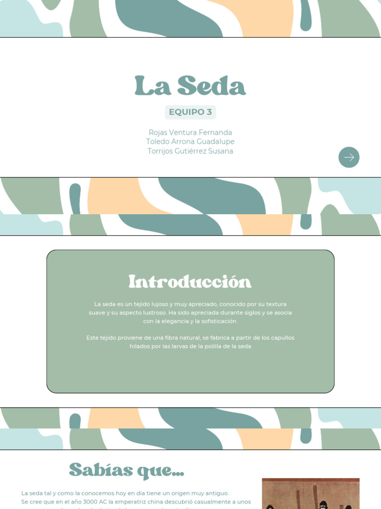 Equipo 3 SEDA | PDF | Seda | Textiles
