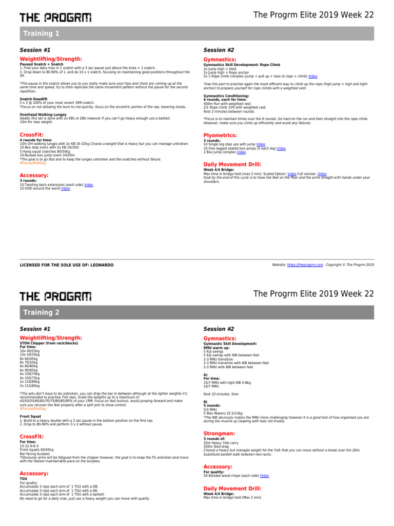 #22 - The Progrm Elite 2019 Week 22 For LEONARDO | PDF | Strength Training | Gymnastics
