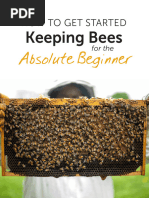 The Entire Bee Movie Script | PDF | Honey Bee | Beekeeper