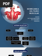 Estructura y función de la miosina | PDF | Biología Molecular ...