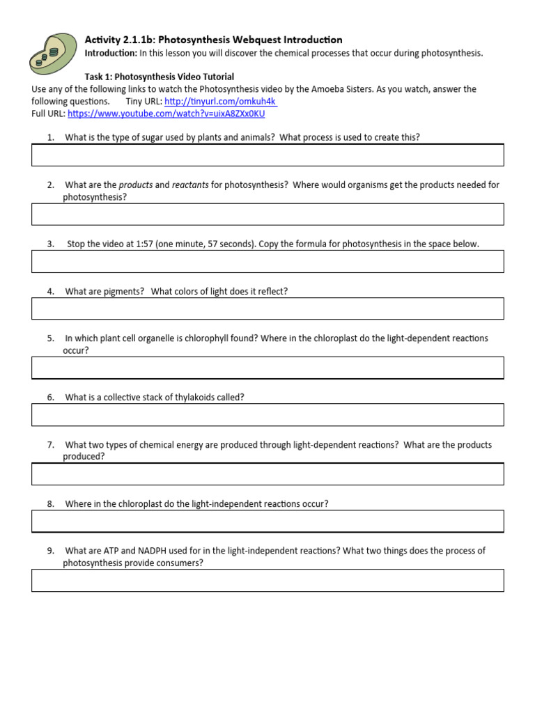 Activity 2.1.2b - Photosynthesis Webquest Intro | PDF | Photosynthesis ...