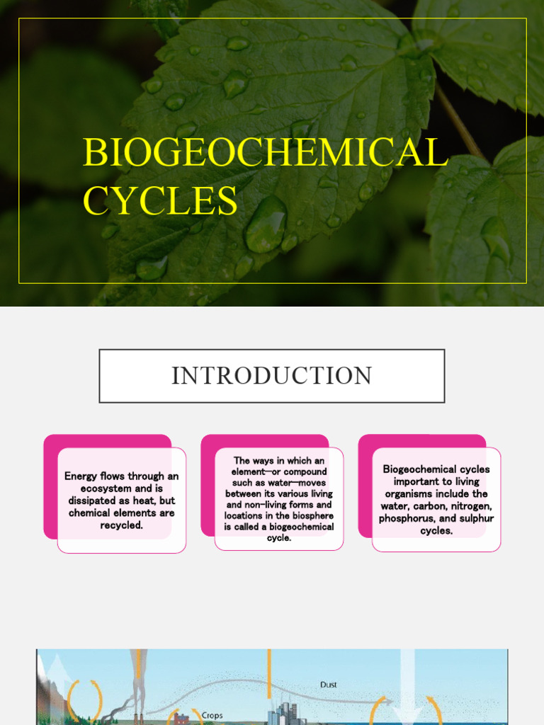 Bio Geo Chemicals | PDF | Water | Water Cycle