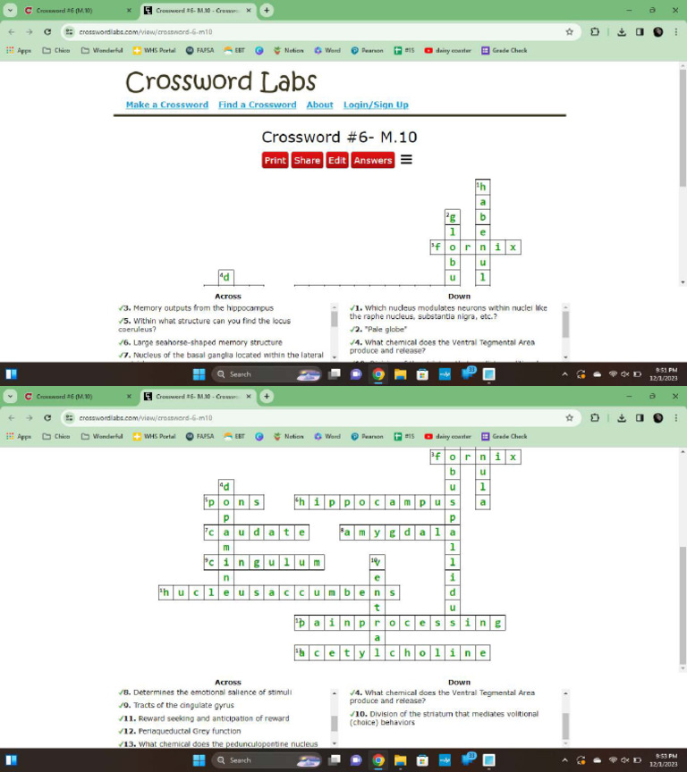 Bio Psyc Crossword 6 | PDF