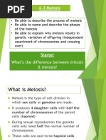 Random Fertilisation and Genetic Variation | PDF | Meiosis | Biological ...