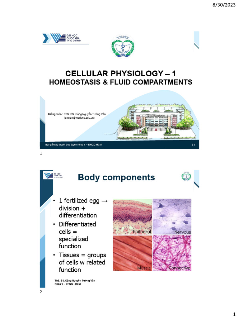 SL TB | PDF | Homeostasis | Biology