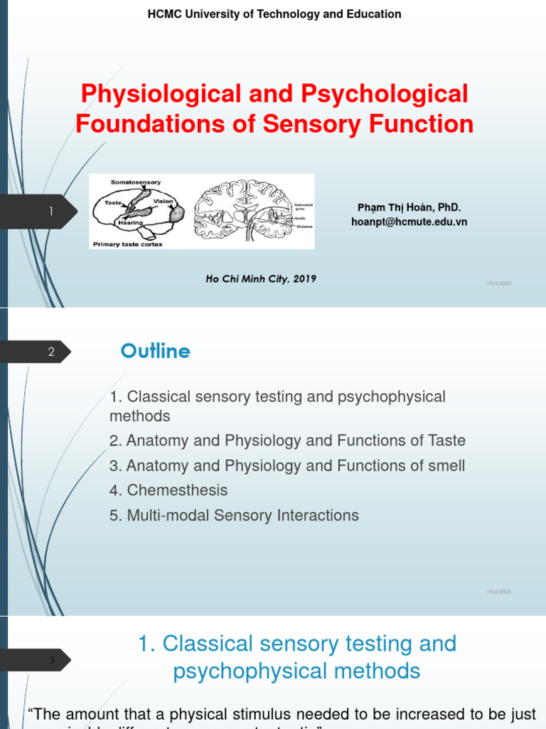 Lesson 2 Physiological and Psychological Foundationsof Sensory Function ...