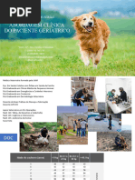 IRIS - Pocket - Guide - To - CKD - 2023 TRADUZIDO | PDF | Creatinina ...