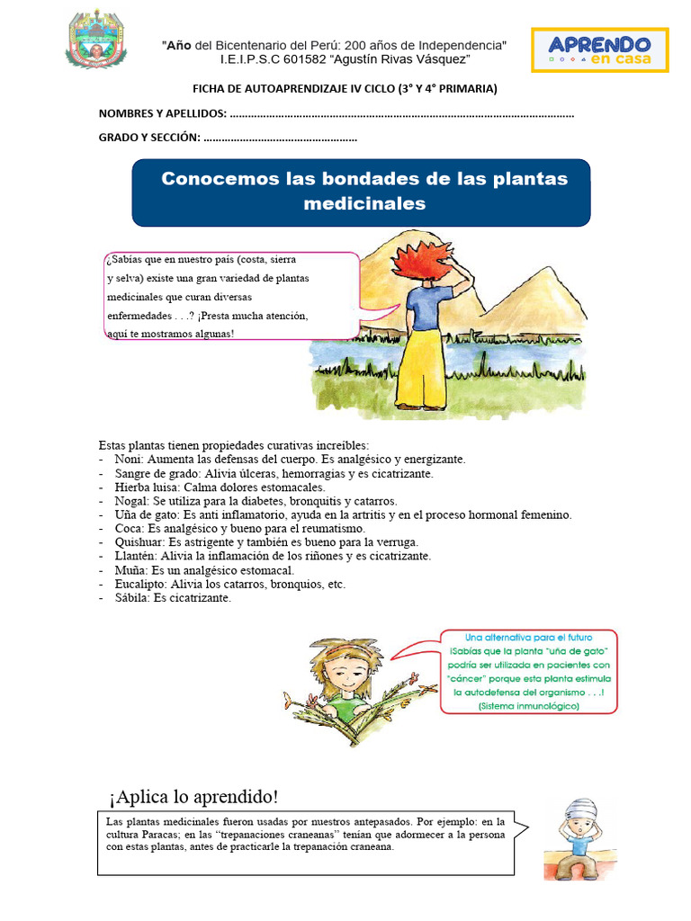 FICHA DE AUTOAPRENDIZAJE | PDF