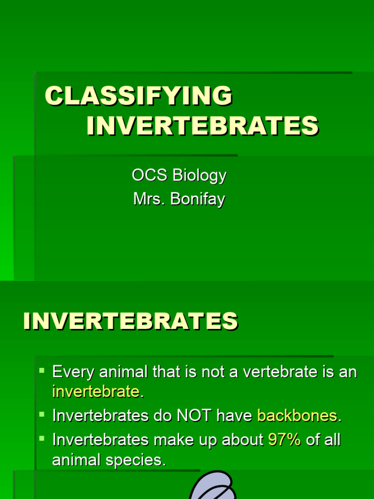 CLASSIFYING Invertebrates | PDF | Invertebrate | Mollusca