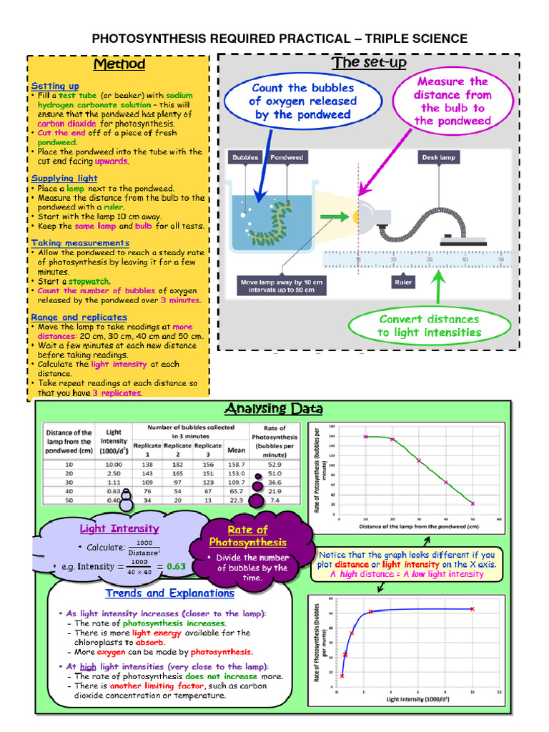 4.2 Photosynthesis RP Booklet - Triple | PDF | Photosynthesis