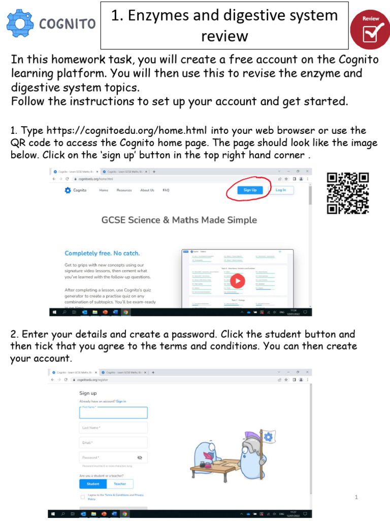 2.1 Enzymes and Digestive System Cognito Review | PDF
