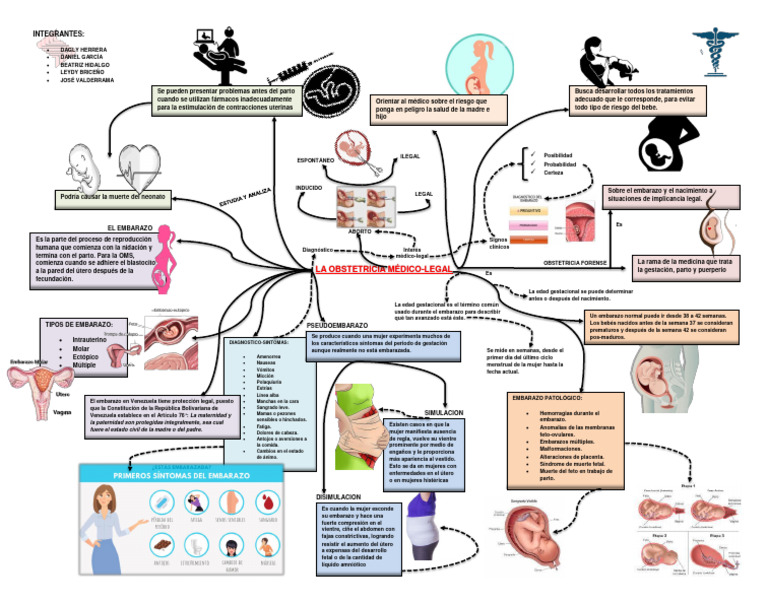 grupo_10_mapa_mental | PDF | El embarazo | Parto