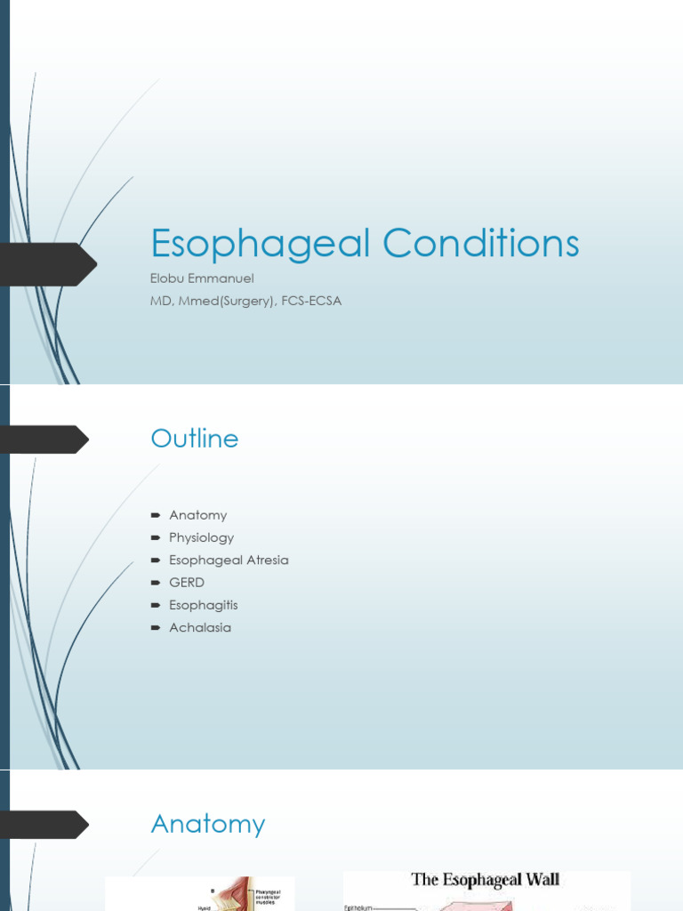 Esophageal Conditions | Download Free PDF | Esophagus | Diseases And ...