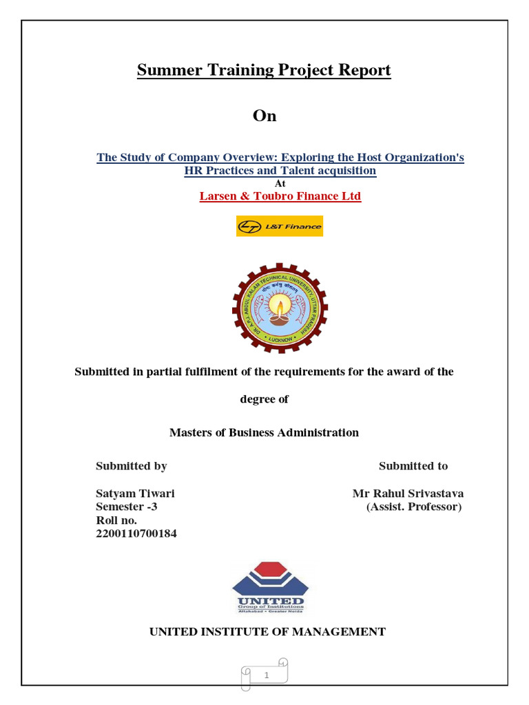 Summer Training Project Report Satyam | PDF | Microfinance | Human ...