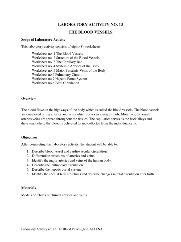 Circulation Laboratory Activity | PDF | Aorta | Vein