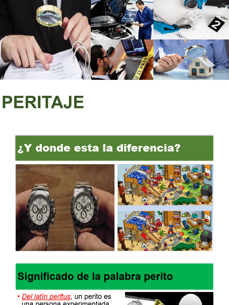 Guía Completa sobre Peritajes y Peritos | PDF | Testigo experto ...