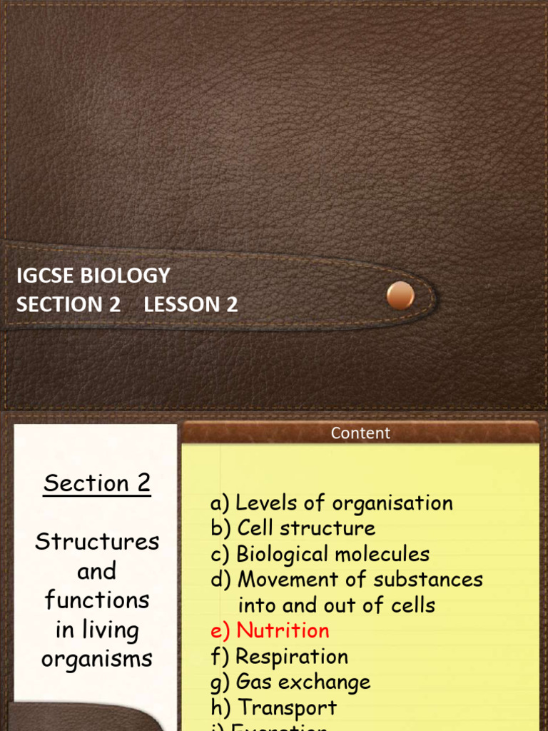 Photosynthesis and Plant Nutrition | PDF | Leaf | Photosynthesis