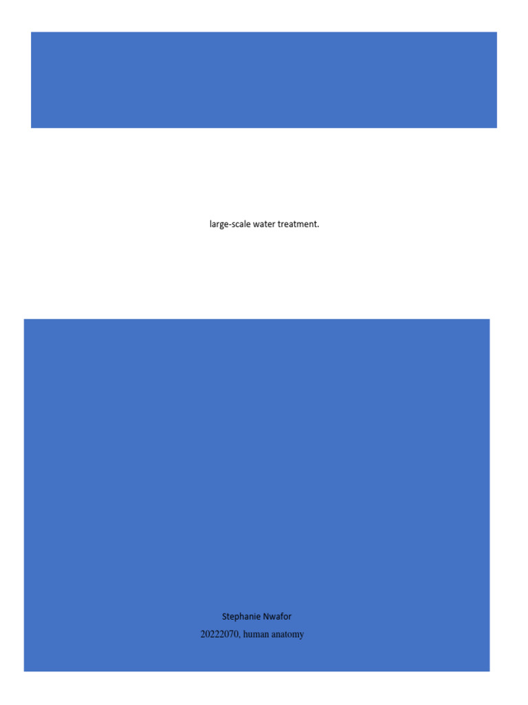 Large-Scale Water Treatment Process | PDF | Water Purification | Chemistry