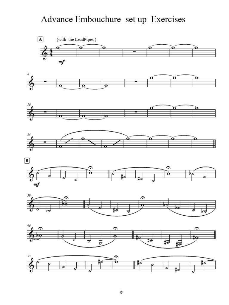 Trumpet Set Up | PDF